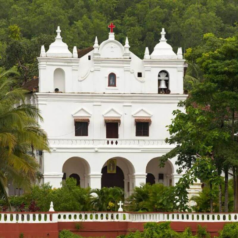 Parra Road Goa: The Iconic Coconut Tree Road for Instagram-Worthy Photos